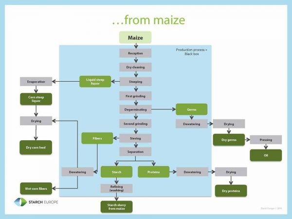 Ingredients - Starch Europe