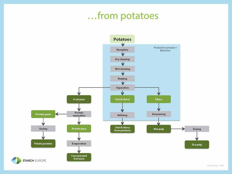Ingredients - Starch Europe