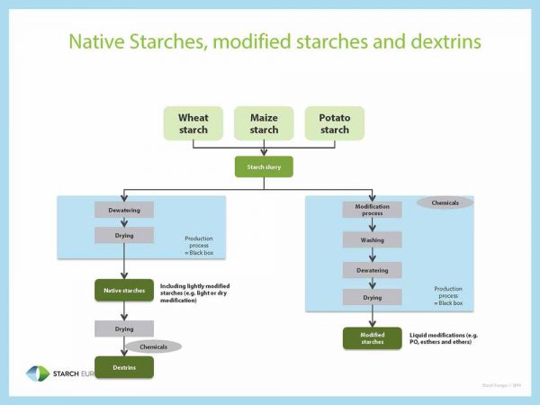 Ingredients - Starch Europe