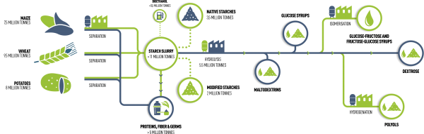 Ingredients - Starch Europe