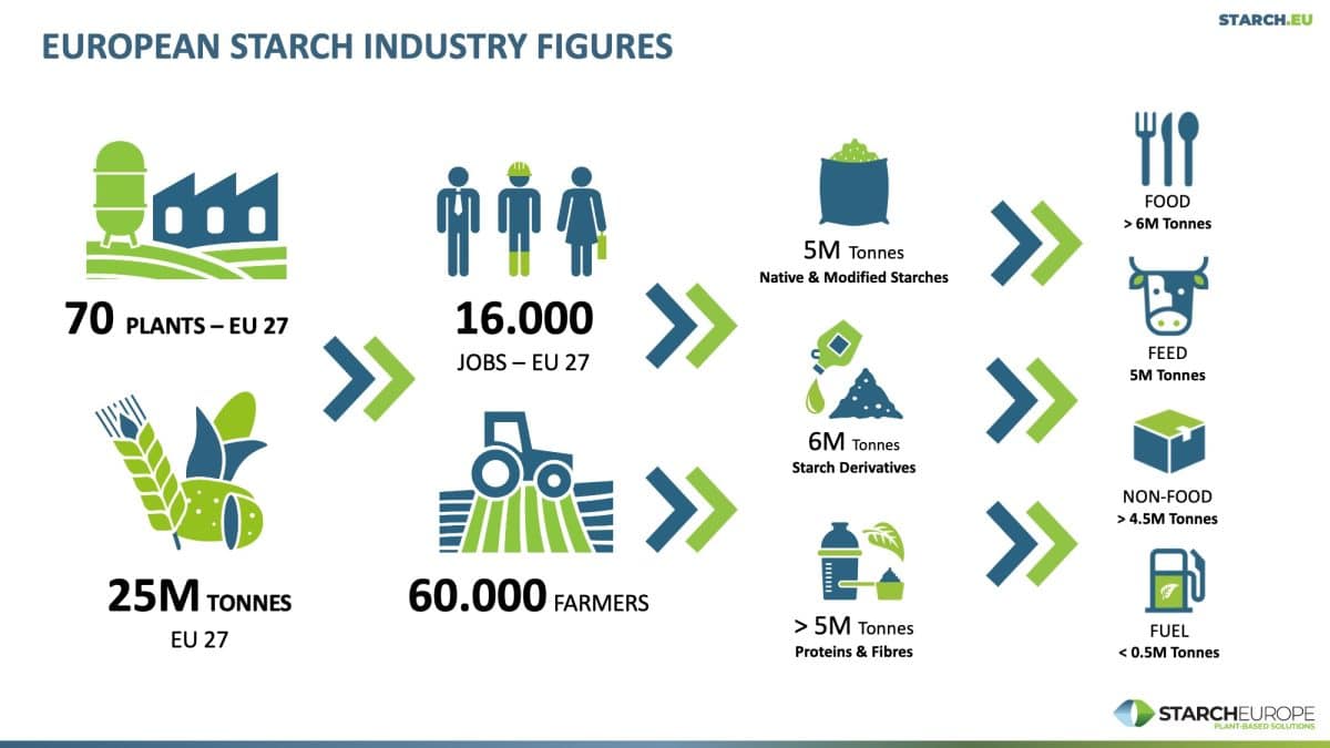 The European Starch Industry Starch Europe