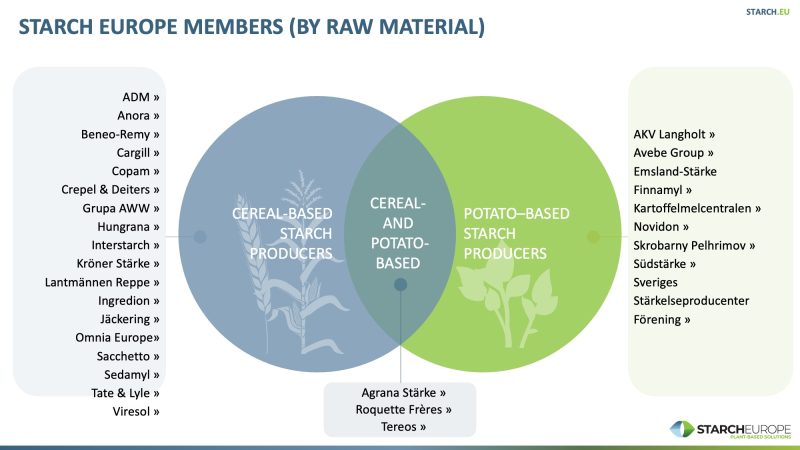 The European Starch Industry Starch Europe